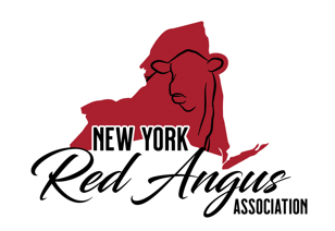 Supreme Beef Female Program